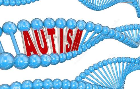 New Research On Autism Genes | The Moore Center